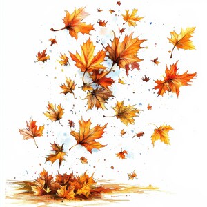 11 Falling Autumn Leaves Clipart, 10 High Quality Jpgs, Paper Craft ...