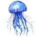 10 Jellyfish Clipart, Sea Jelly, Junk Journal, Printable Watercolor ...