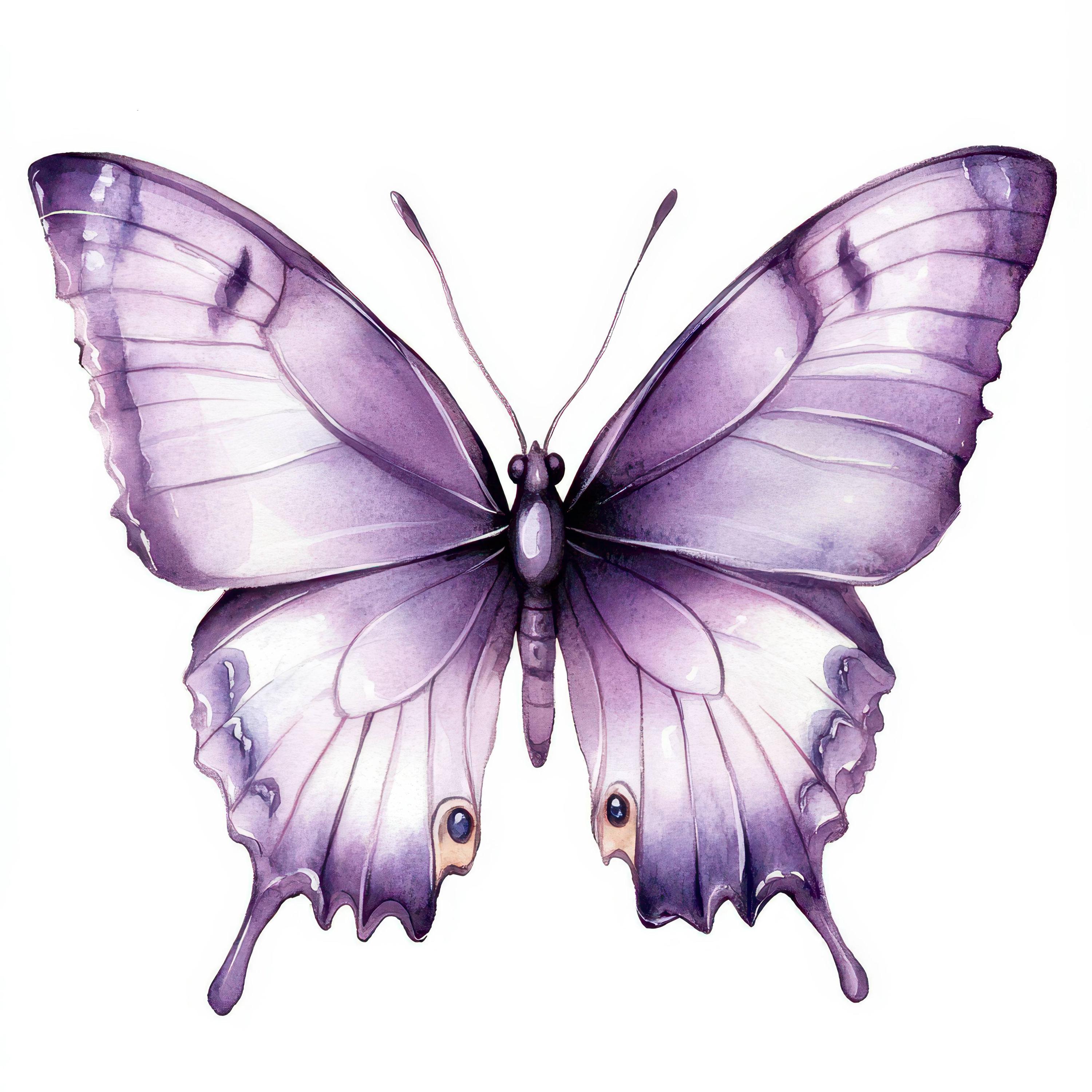 14 Purple Butterfly Clipart, Digital Download, High Quality Jpgs, Paper ...