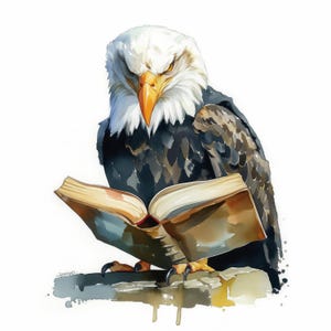 10 Eagle Reading Book Clipart, Bald Eagle, Printable Watercolor Clipart ...