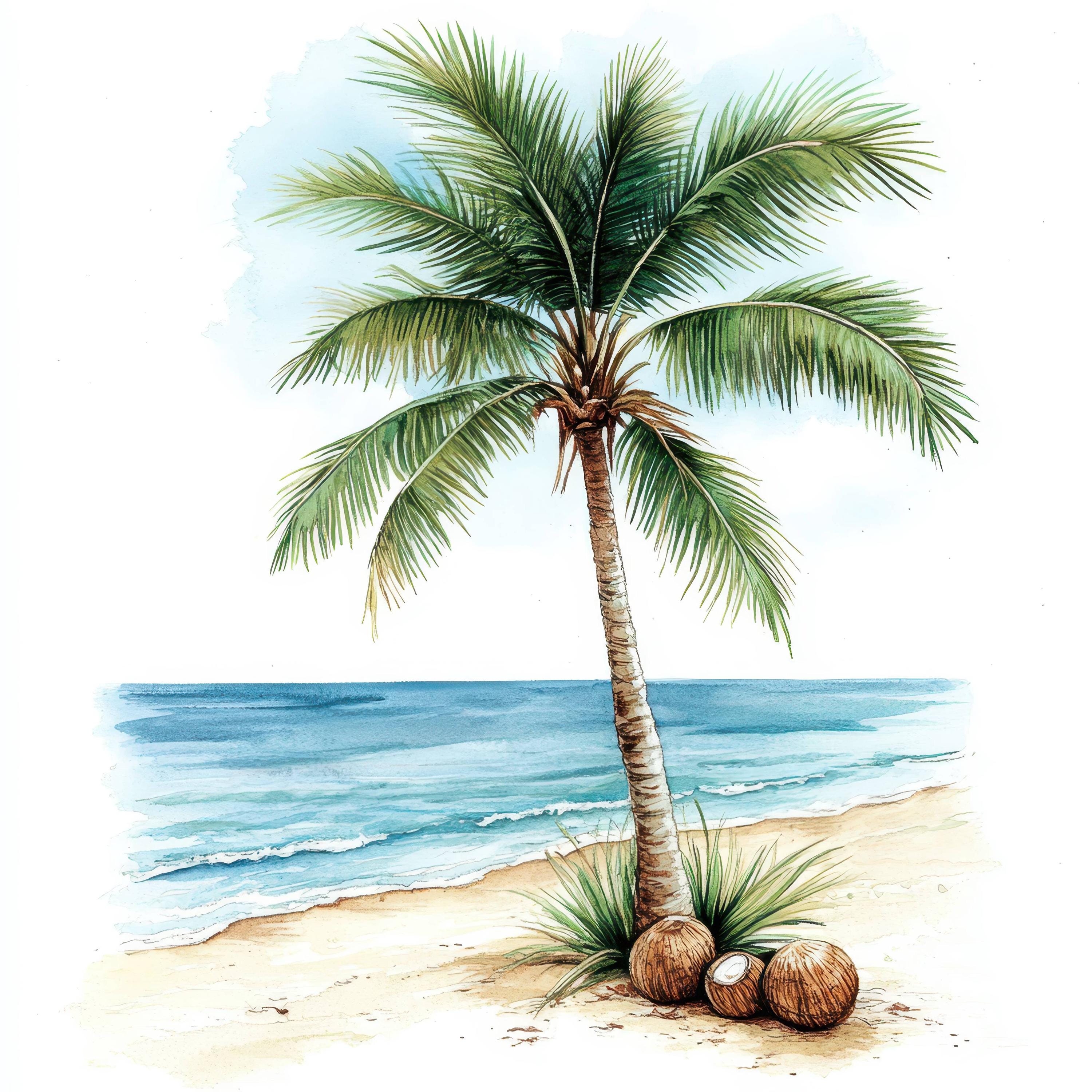 21 Watercolor Coconut Trees Clipart, Paper Craft, High Quality Jpgs ...