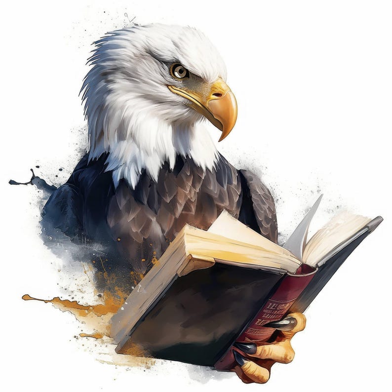 10 Eagle Reading Book Clipart, Bald Eagle, Printable Watercolor Clipart ...