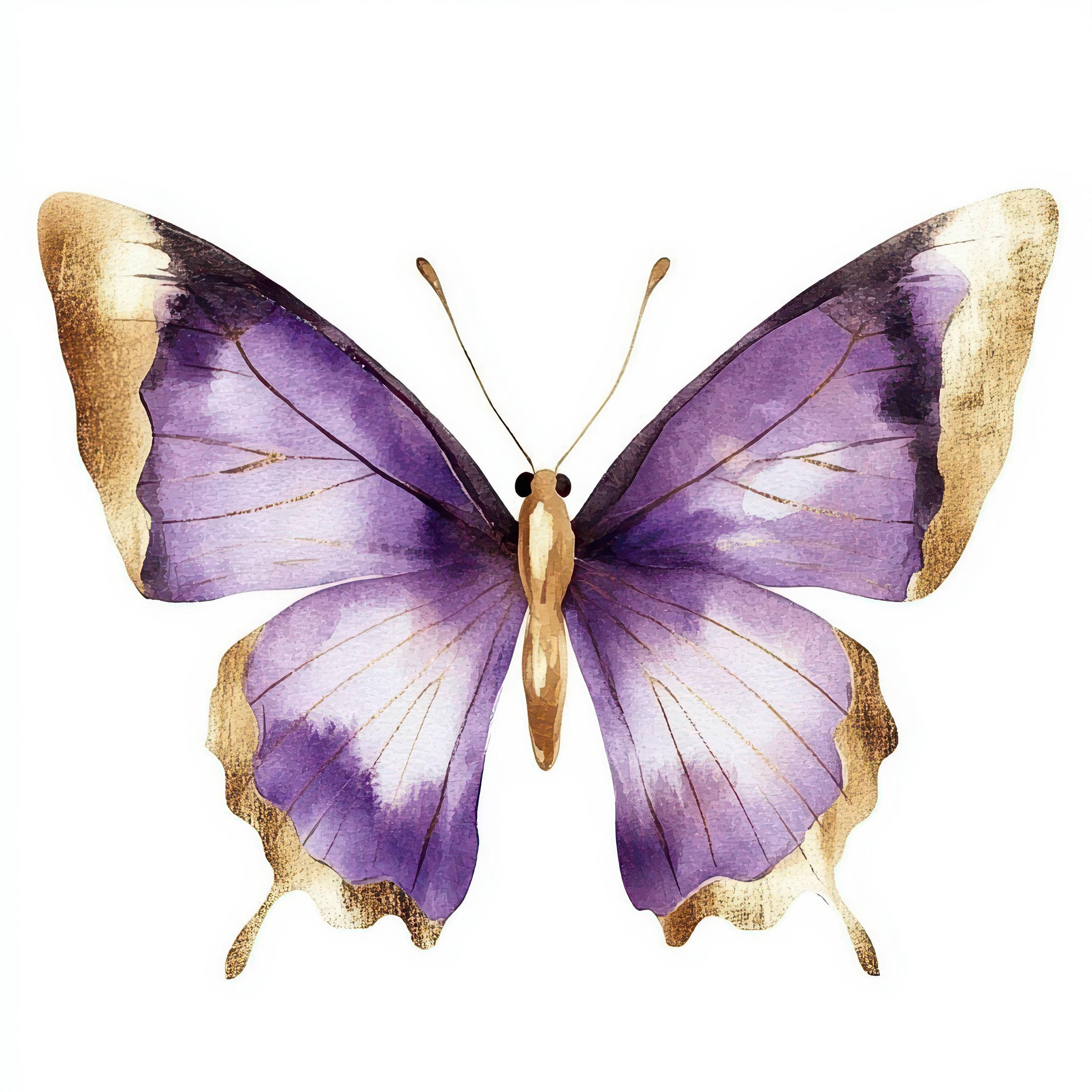 14 Purple Butterfly Clipart, Digital Download, High Quality Jpgs, Paper ...