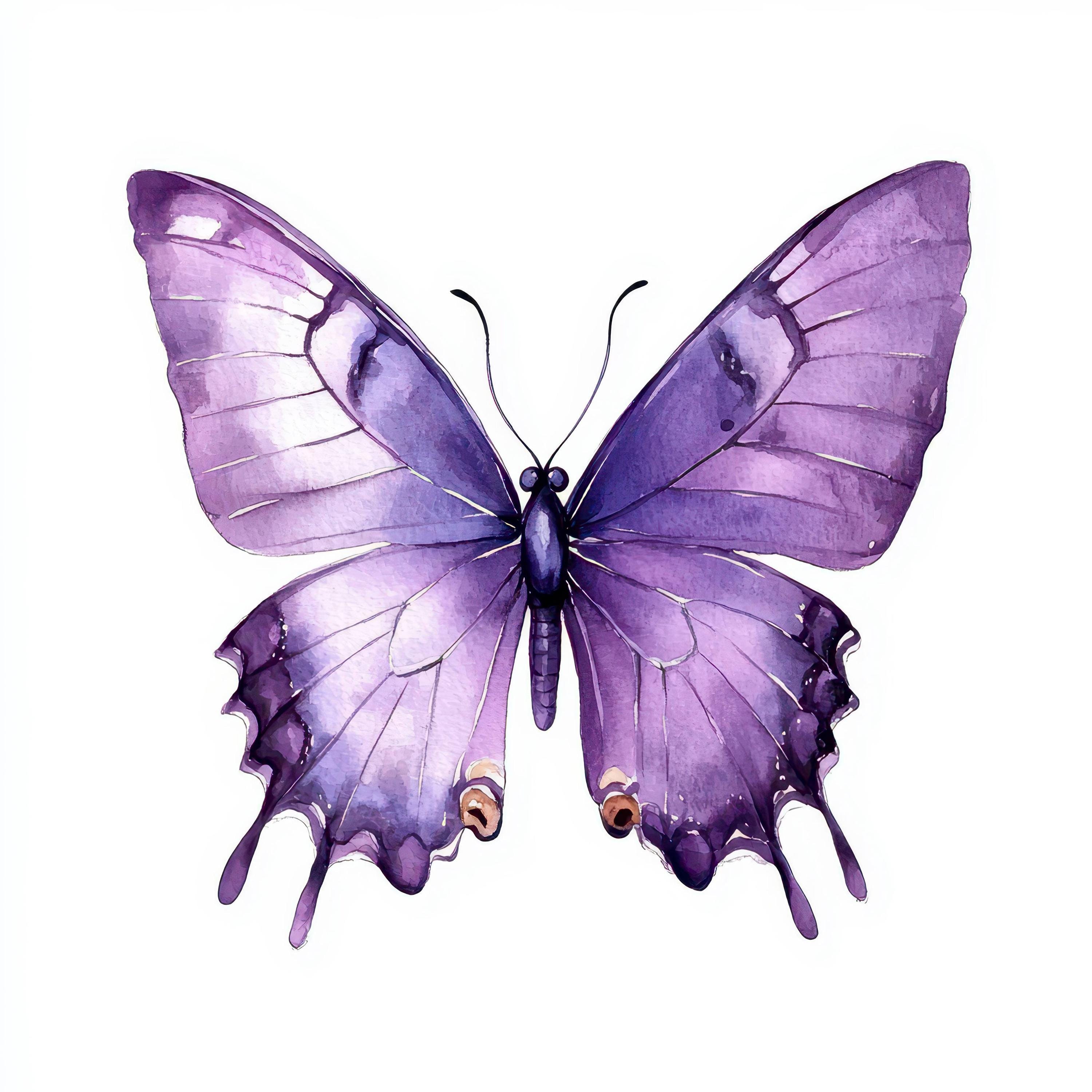 14 Purple Butterfly Clipart, Digital Download, High Quality Jpgs, Paper ...