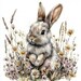 10 Bunny Black Ink Clipart, 10 High Quality Jpgs, Instant Digital ...
