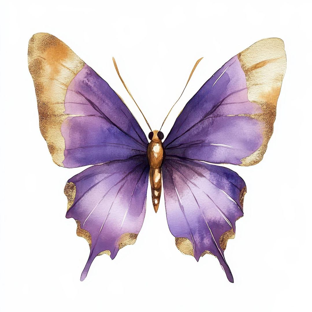 14 Purple Butterfly Clipart, Digital Download, High Quality Jpgs, Paper ...