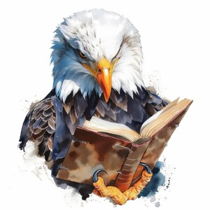 10 Eagle Reading Book Clipart, Bald Eagle, Printable Watercolor Clipart ...
