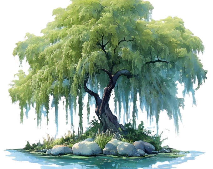 Willow Trees Clipart | 10 High Quality Jpgs | Digital Download ...