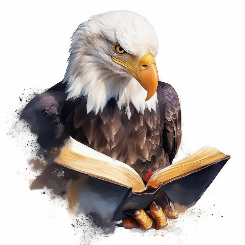 10 Eagle Reading Book Clipart, Bald Eagle, Printable Watercolor Clipart ...