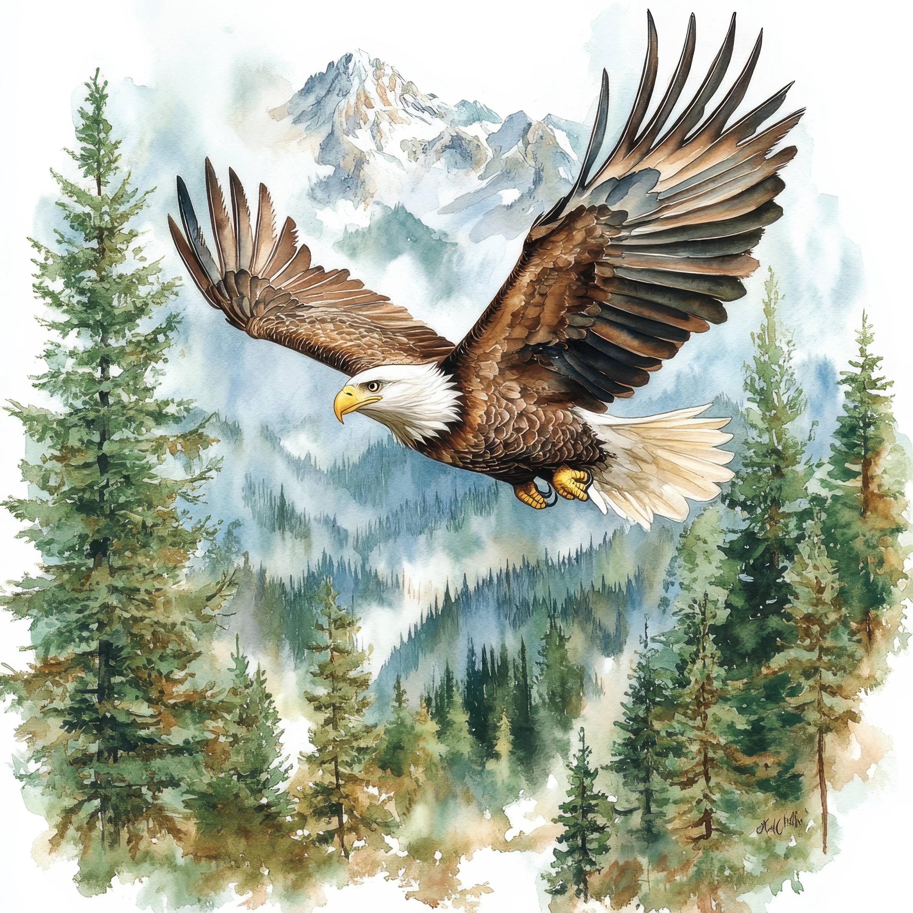 10 Bald Eagle Clipart, Scrapbook, Printable Watercolor Clipart, Paper ...