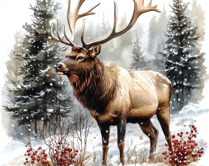 50 PNG Moose Clipart Bundle | Moose Drawing Graphics | Digital Download ...