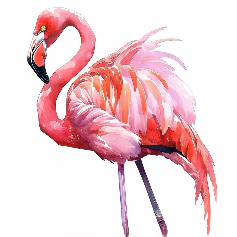 10 Flamingo Clipart 3, 10 High Quality Jpgs, Digital Download, Flamingo ...