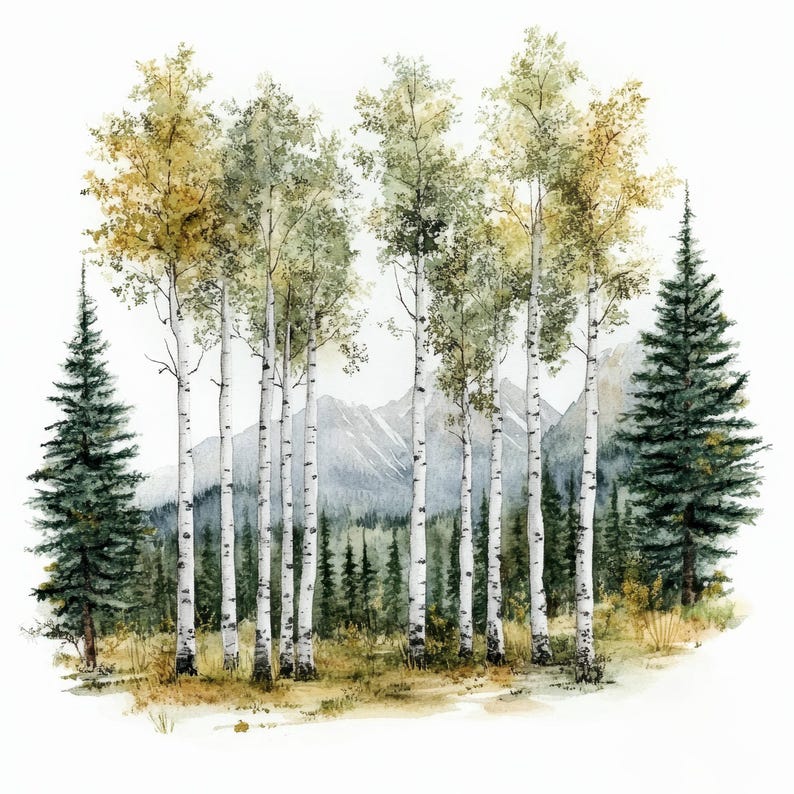 10 Forest Birch Trees Papers, 10 High Quality Jpgs, Digital Download ...