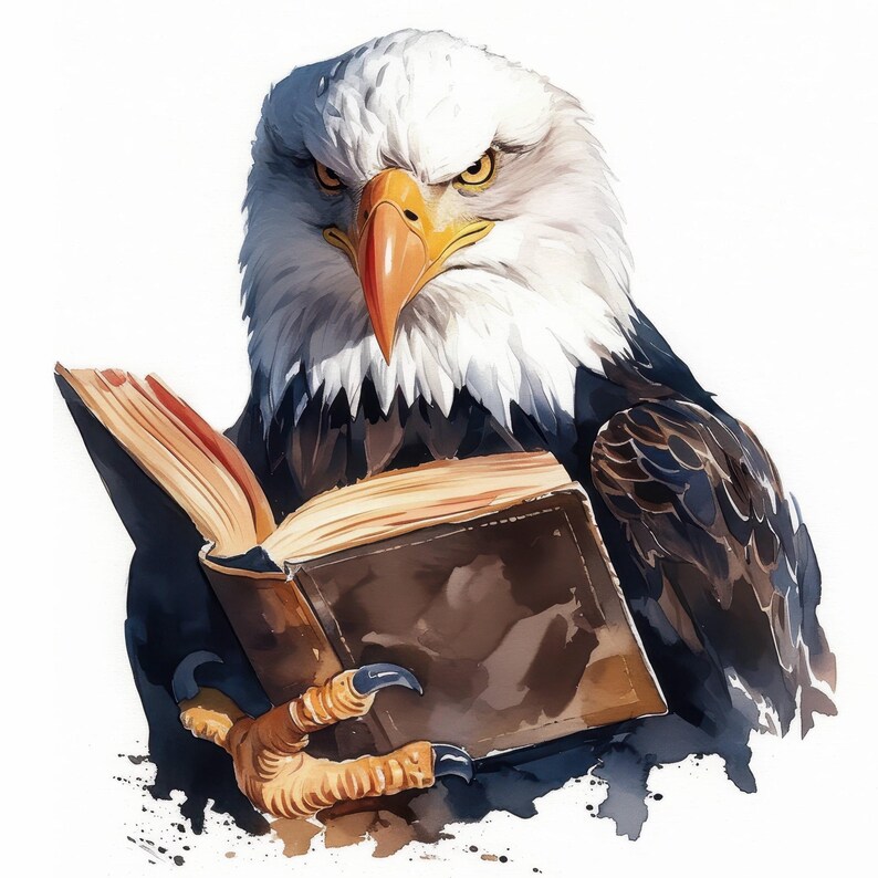 10 Eagle Reading Book Clipart, Bald Eagle, Printable Watercolor Clipart ...