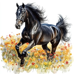 10 Black Horses Clipart, Watercolor Clipart, Junk Journal, Paper Craft ...