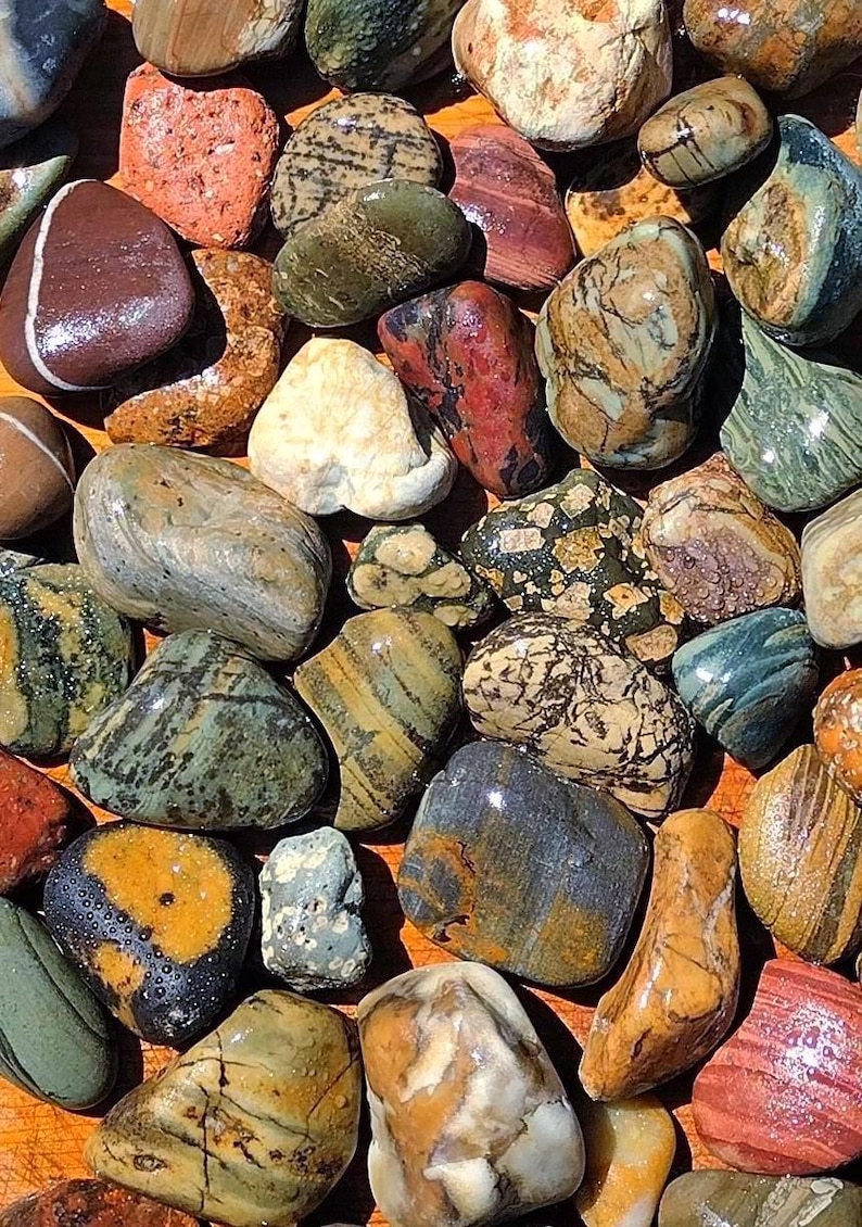 1 Pound of Premium Montana River Rocks - Vibrant Colors Unique Banding ...