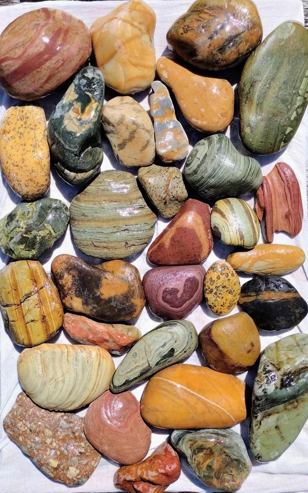 Colorful Montana River Rocks (3"-6") for Aquarium Terrarium Fountain ...
