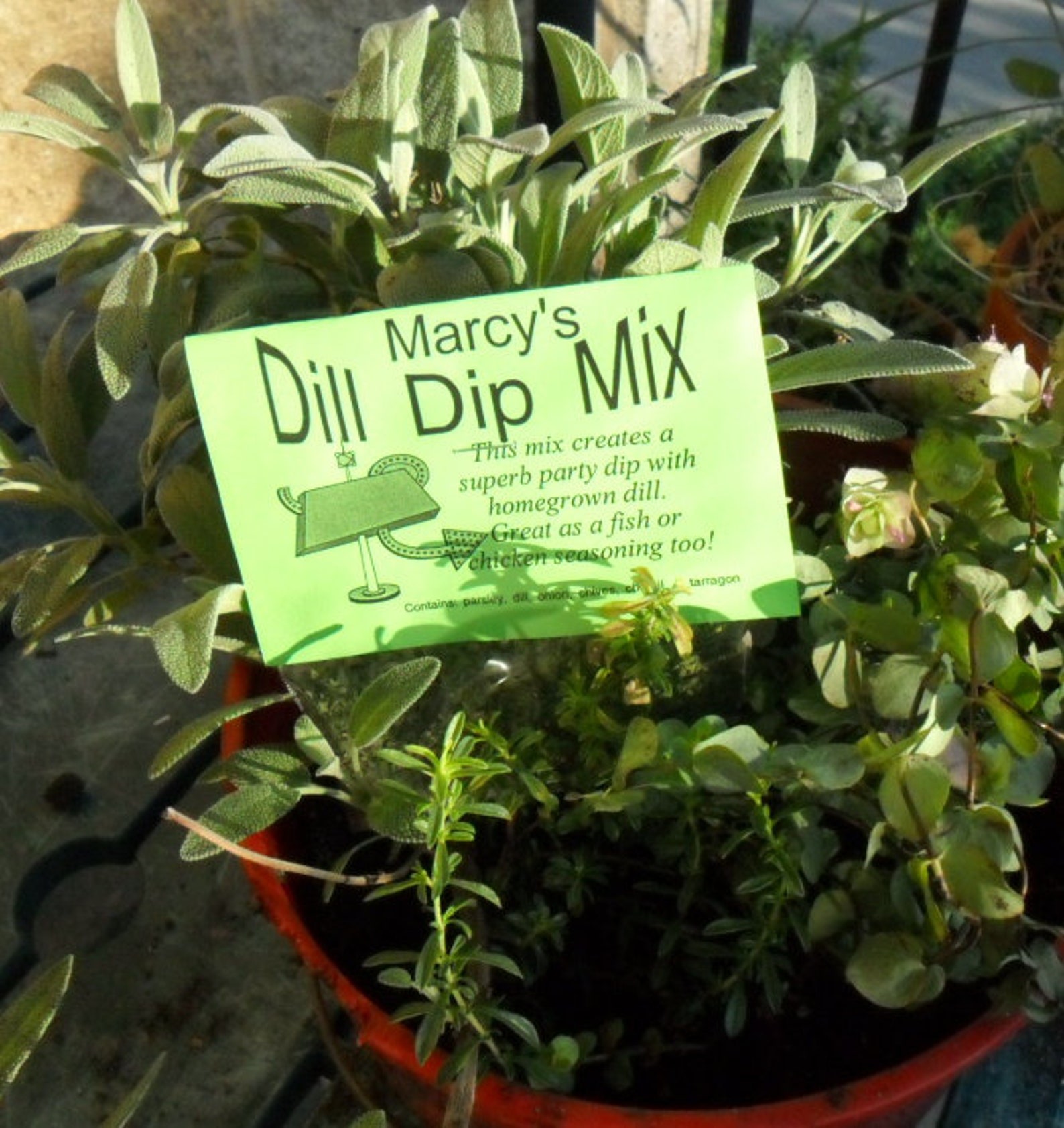Dill Dip Mix Pair Herb Blend for Cooking, Hand-blended Salt-free Dry ...