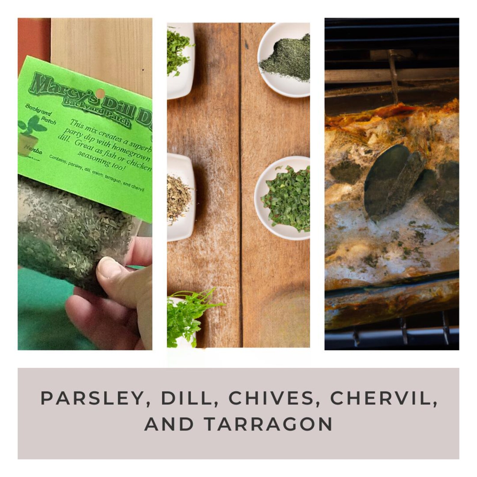 Dill Dip Mix Pair Herb Blend for Cooking, Hand-blended Salt-free Dry ...