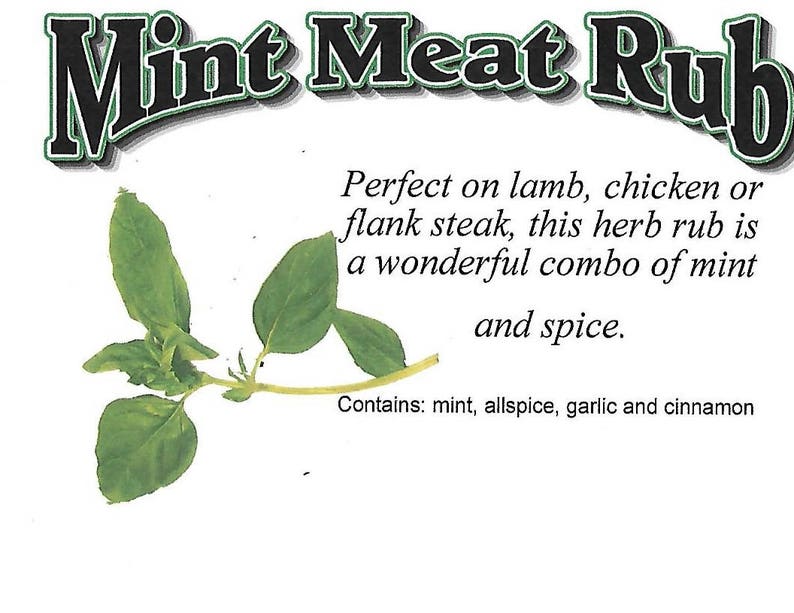 Pair of Mint Meat Rub Mixes Hand-blended Salt-free Dry Herb - Etsy