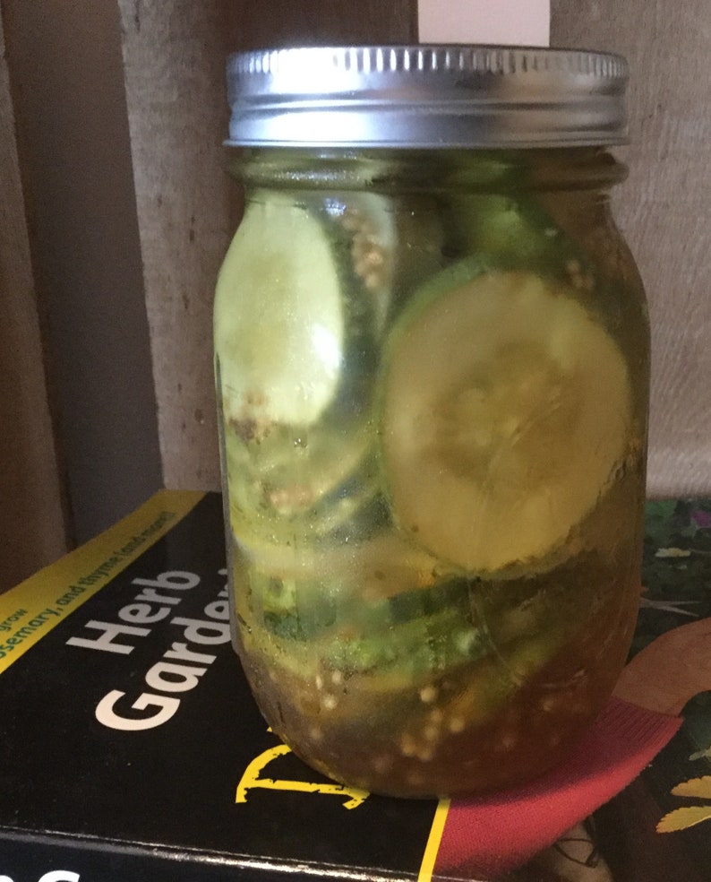 DIY Herb-spiced Refrigerator Pickle Kits, 5 Flavors to Choose From - Etsy