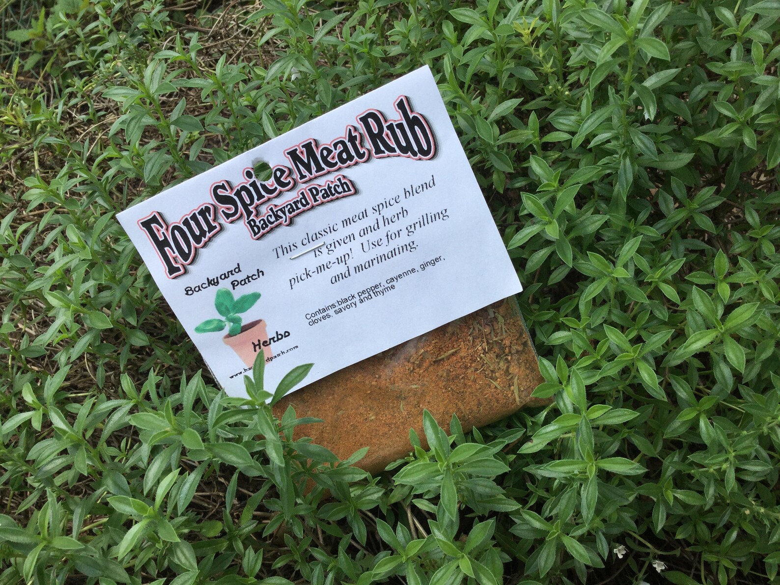 Rubs for Grilling Made With Dry Herb Cooking Mixes by the Backyard ...