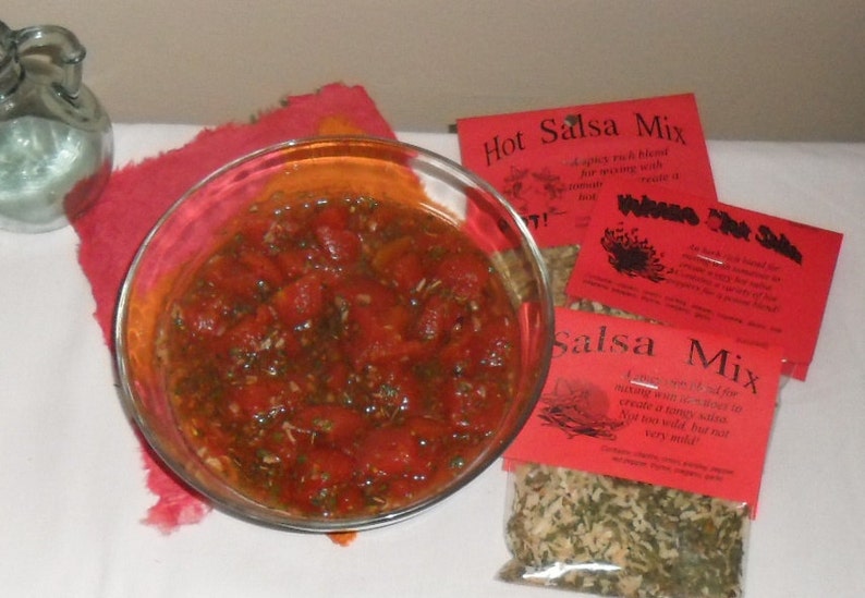 Salsa Seasoning Mixes Hand-blended salt-free cooking dry Herb | Etsy