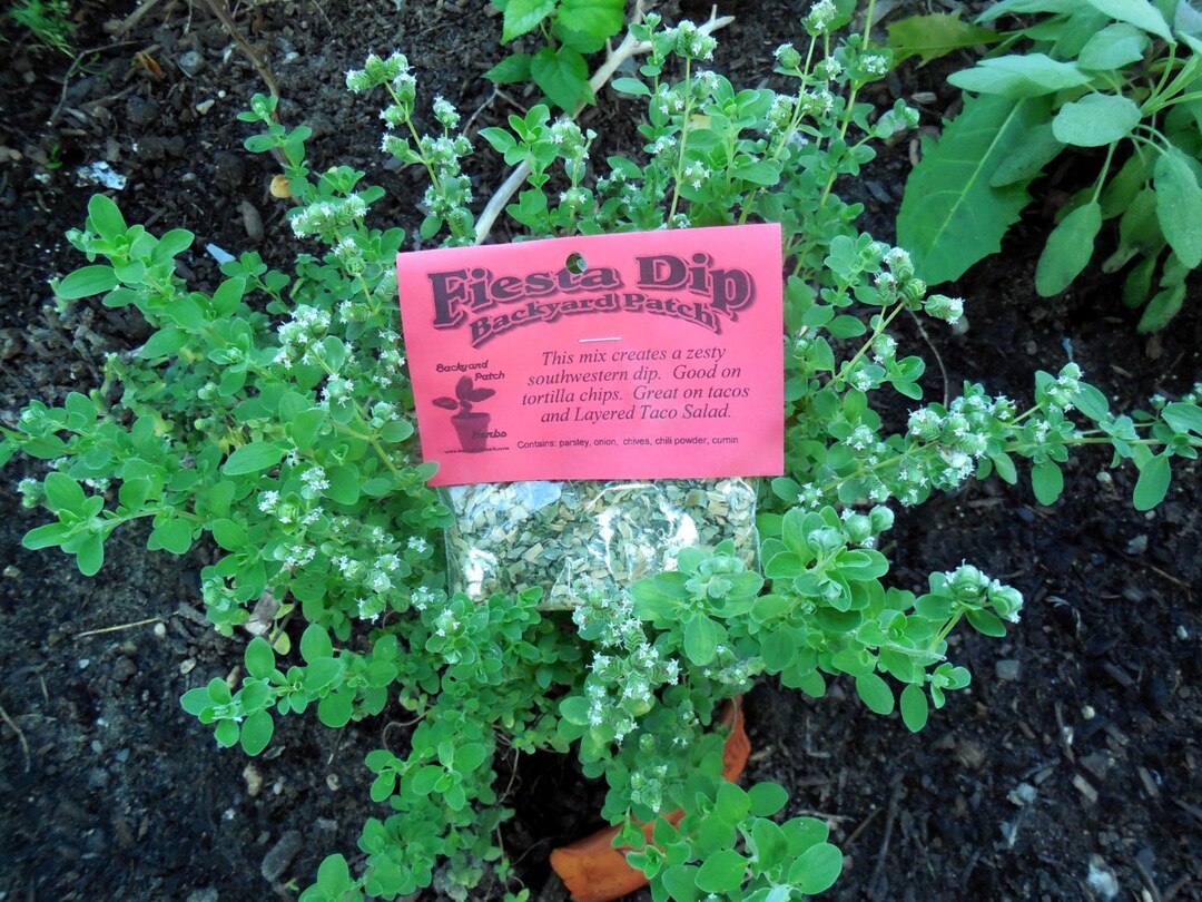 Fiesta Taco Dip Mix for Cooking, Hand-blended Salt-free Dry HERB MIX - Etsy