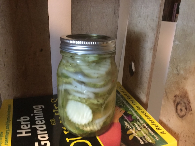 DIY Herb-spiced Refrigerator Pickle Kits, 5 Flavors to Choose From - Etsy