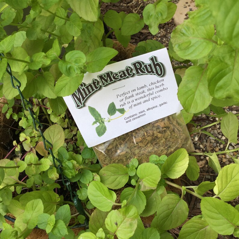 Pair of Mint Meat Rub Mixes Hand-blended Salt-free Dry Herb - Etsy