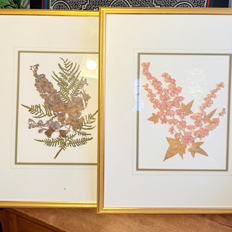 Herbarium Frame - Etsy