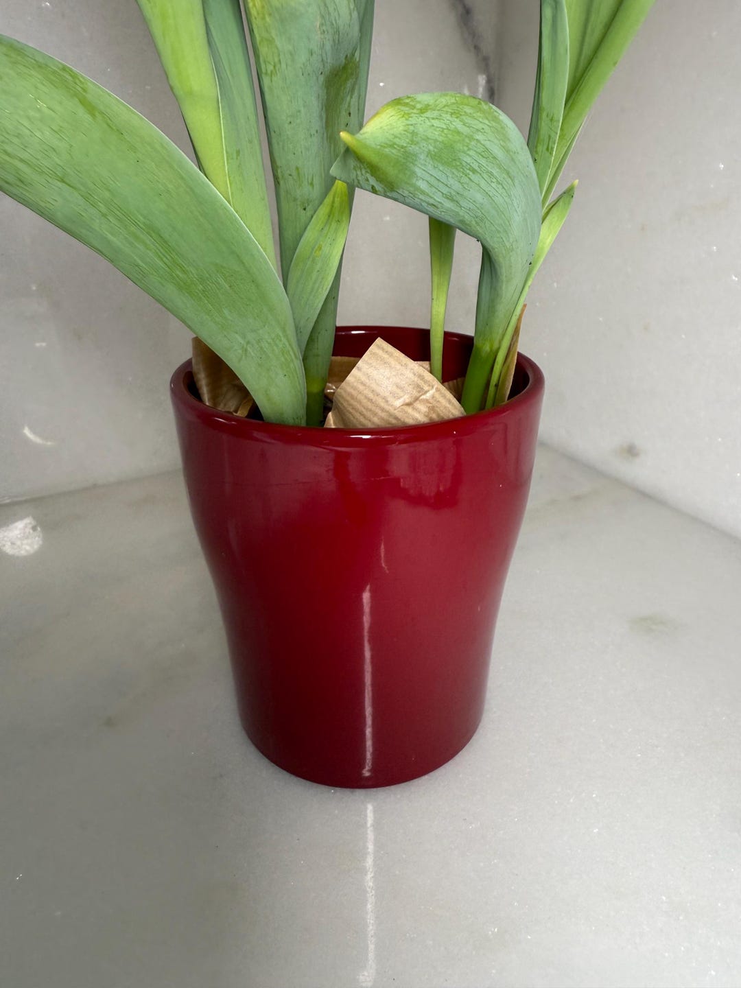 Vintage MCM German Planter Vibrant Red Ceramic Indoor Planter Signed ...