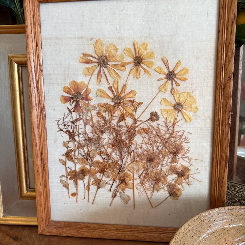 Herbarium Frame - Etsy