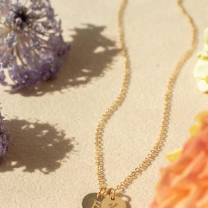 Initial Disc Necklace | Small Coin Initial Necklace | Gold Letter ...