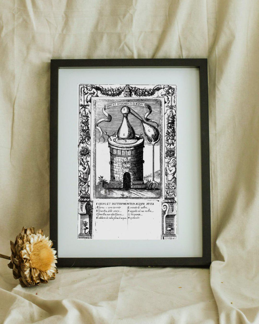 Alchemy Vintage Poster, Medieval Science Illustration, Dark Academia ...