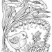 Digital Download Spring Animals to Color, Instant Download, Digi ...