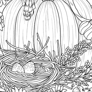 Pumpkin Patch Blessings Digital Coloring Book. Thankful and Grateful ...