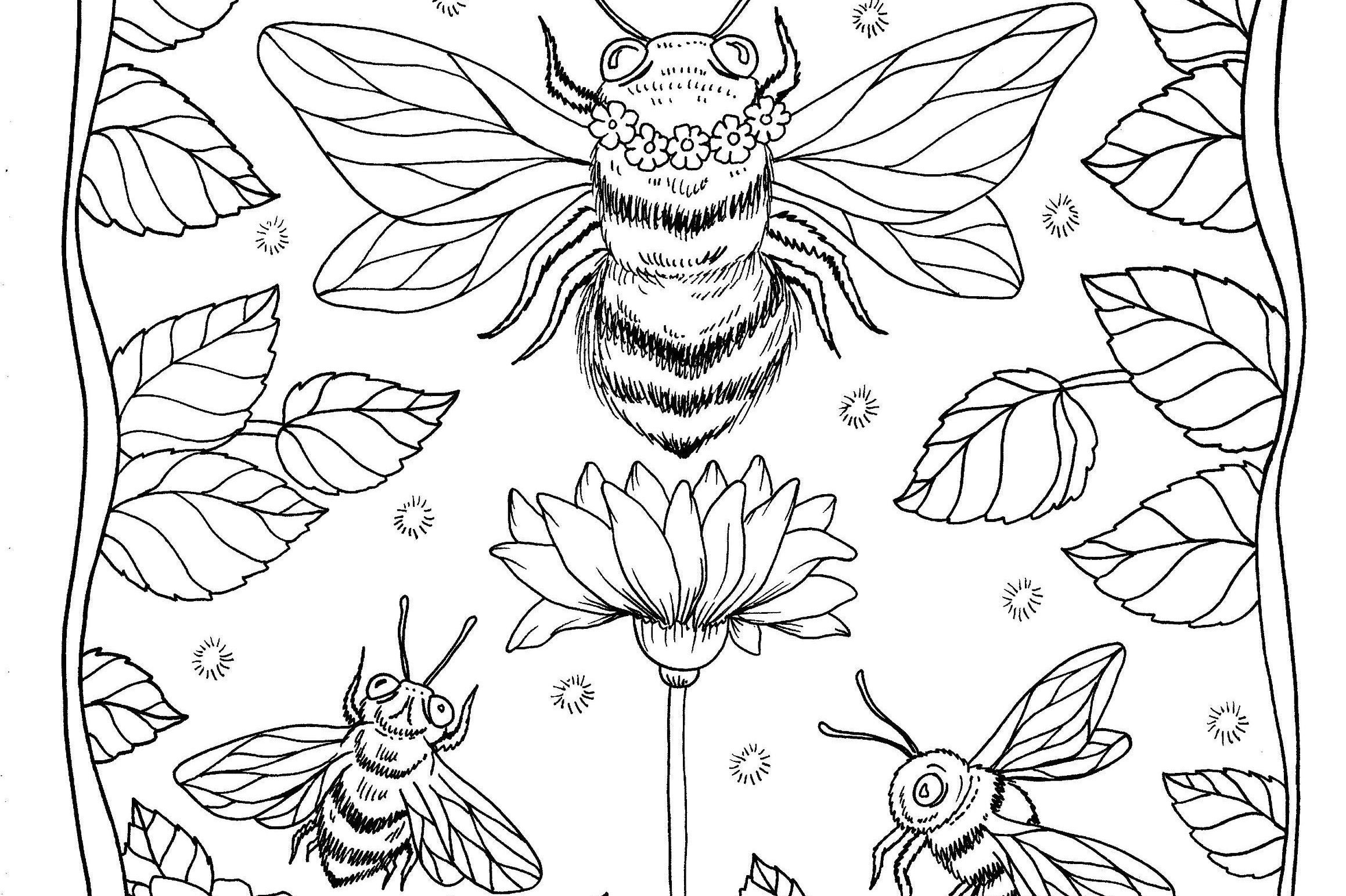 Busy Little BEES PDF Pages to Color. Instant Download Flowers - Etsy