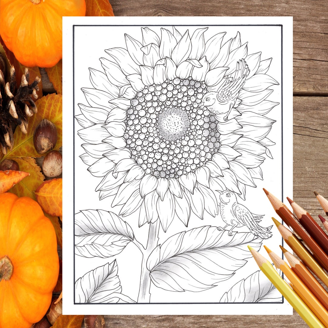 Printable PDF Sunflower and Birds Coloring Page, Fall, Pumpkins and ...