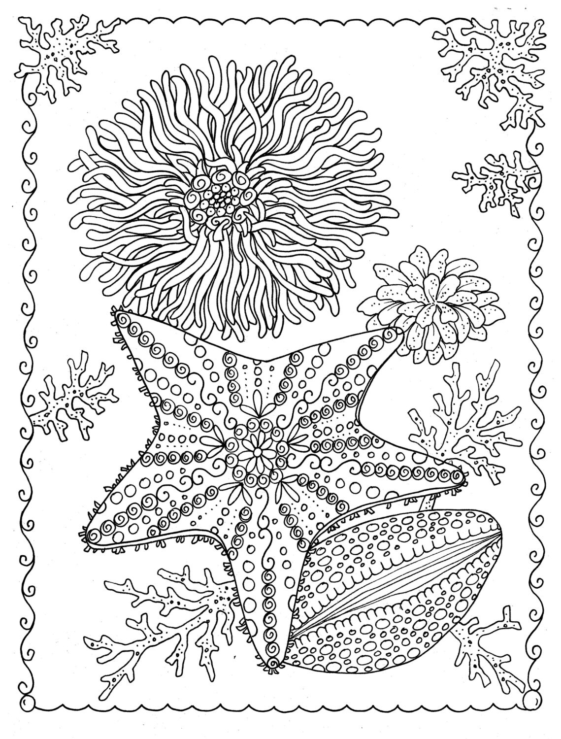 5 Pages of Shells to Color Digital Instant Download Coloring - Etsy