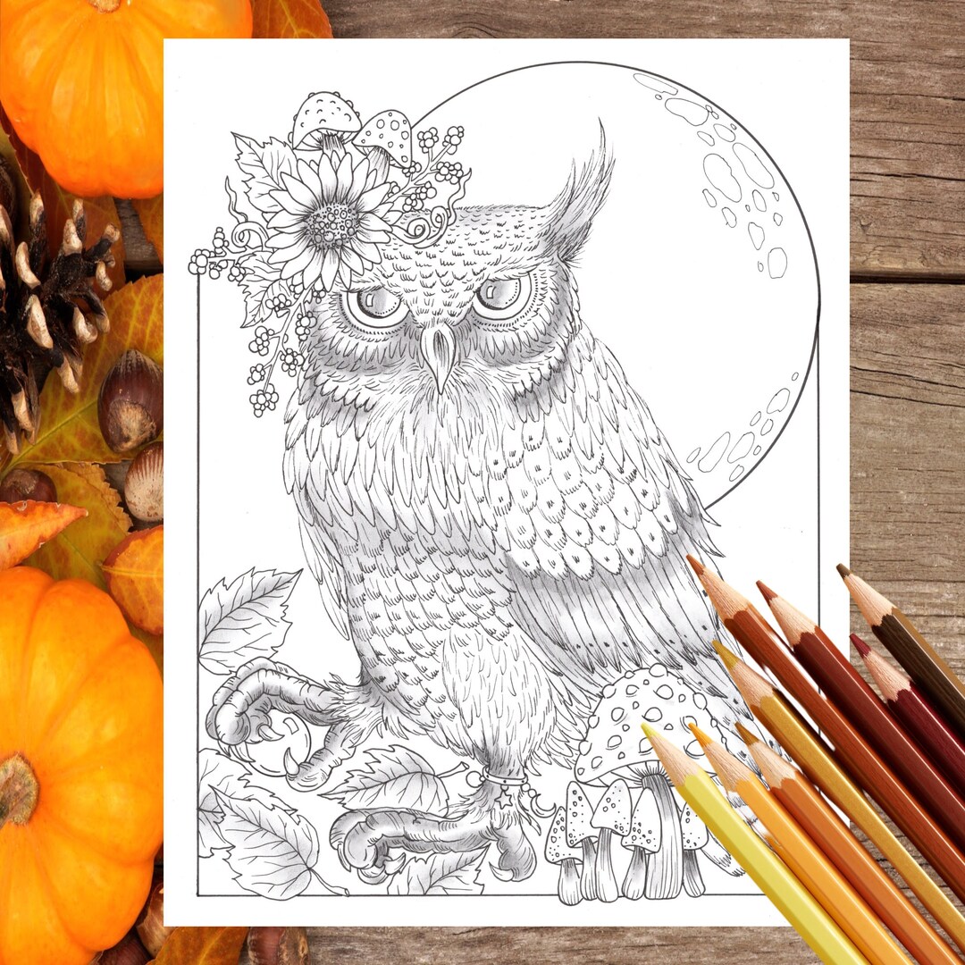 FALL Owl PDF to Color. Digital Coloring Page for Fall Coloring. Print ...