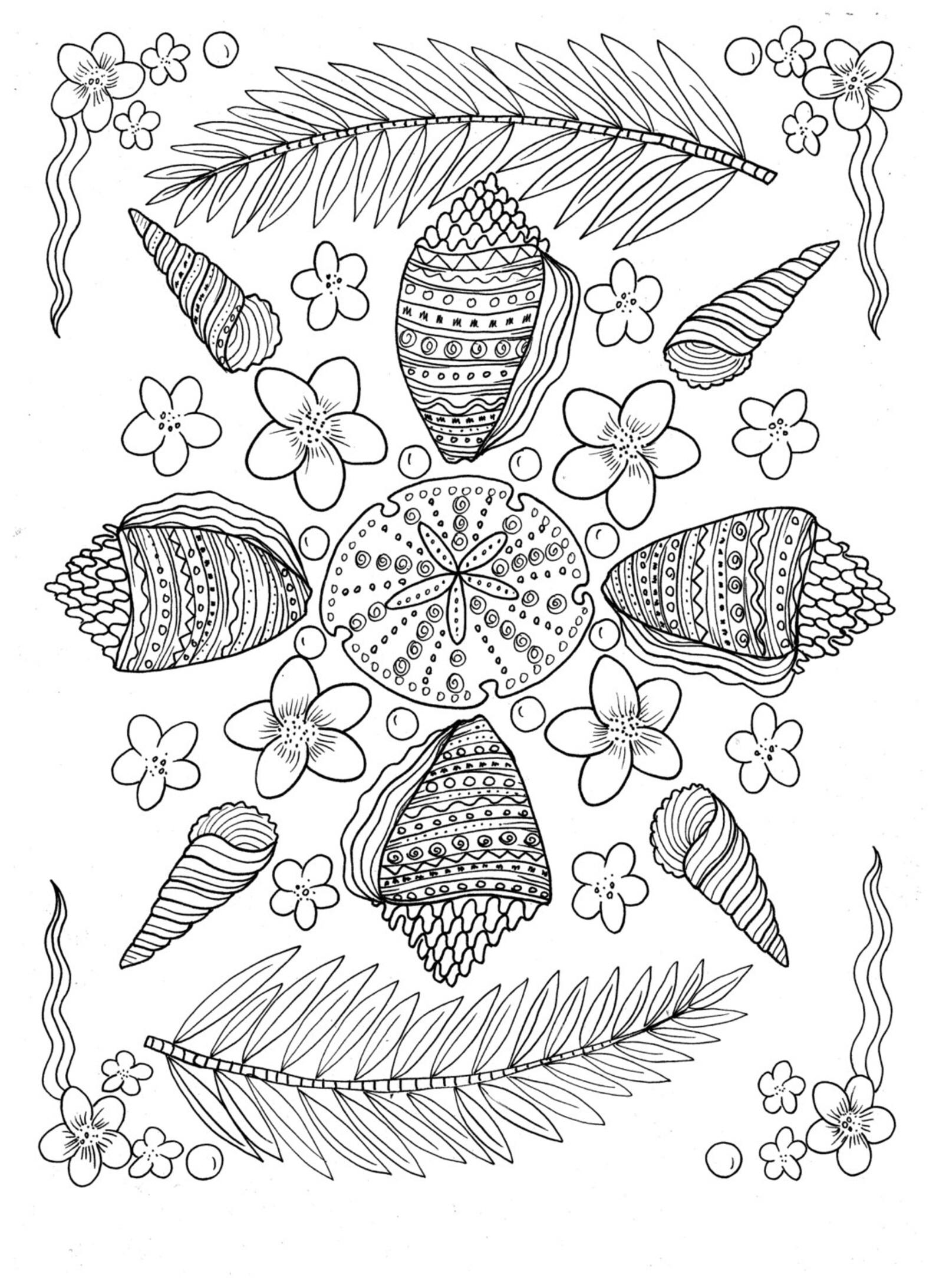 5 Pages of Shells to Color Digital Instant Download Coloring Adult ...