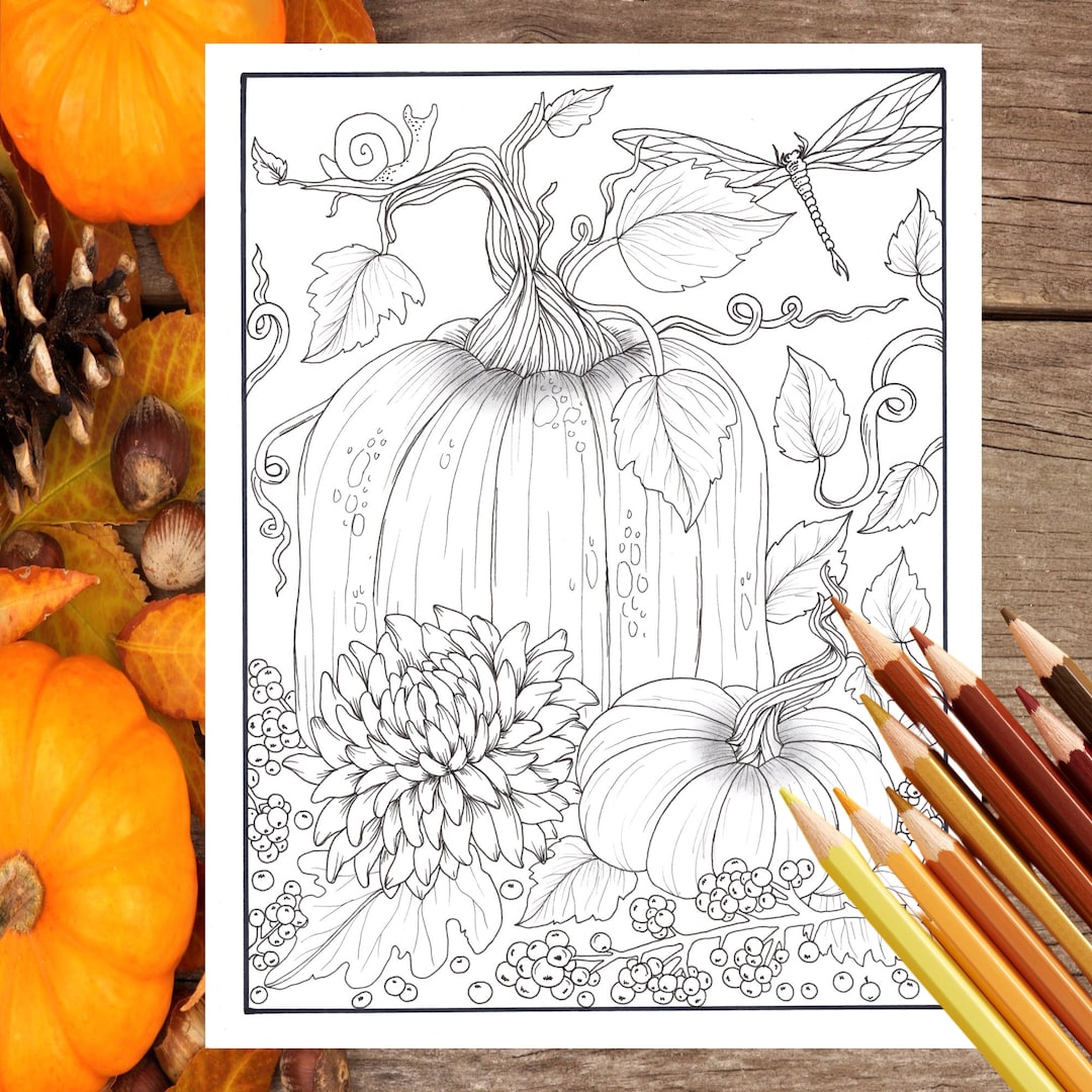 Pumpkins and Dragonfly PDF Coloring Page, Fall, Pumpkins, Flowers - Etsy