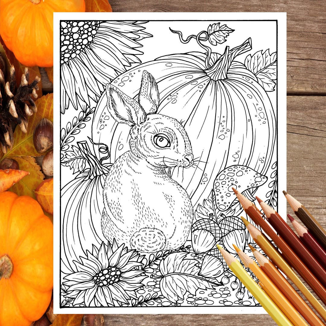 Fall Bunny and Pumpkin Coloring Page, Digital, Digi, Adult Coloring ...