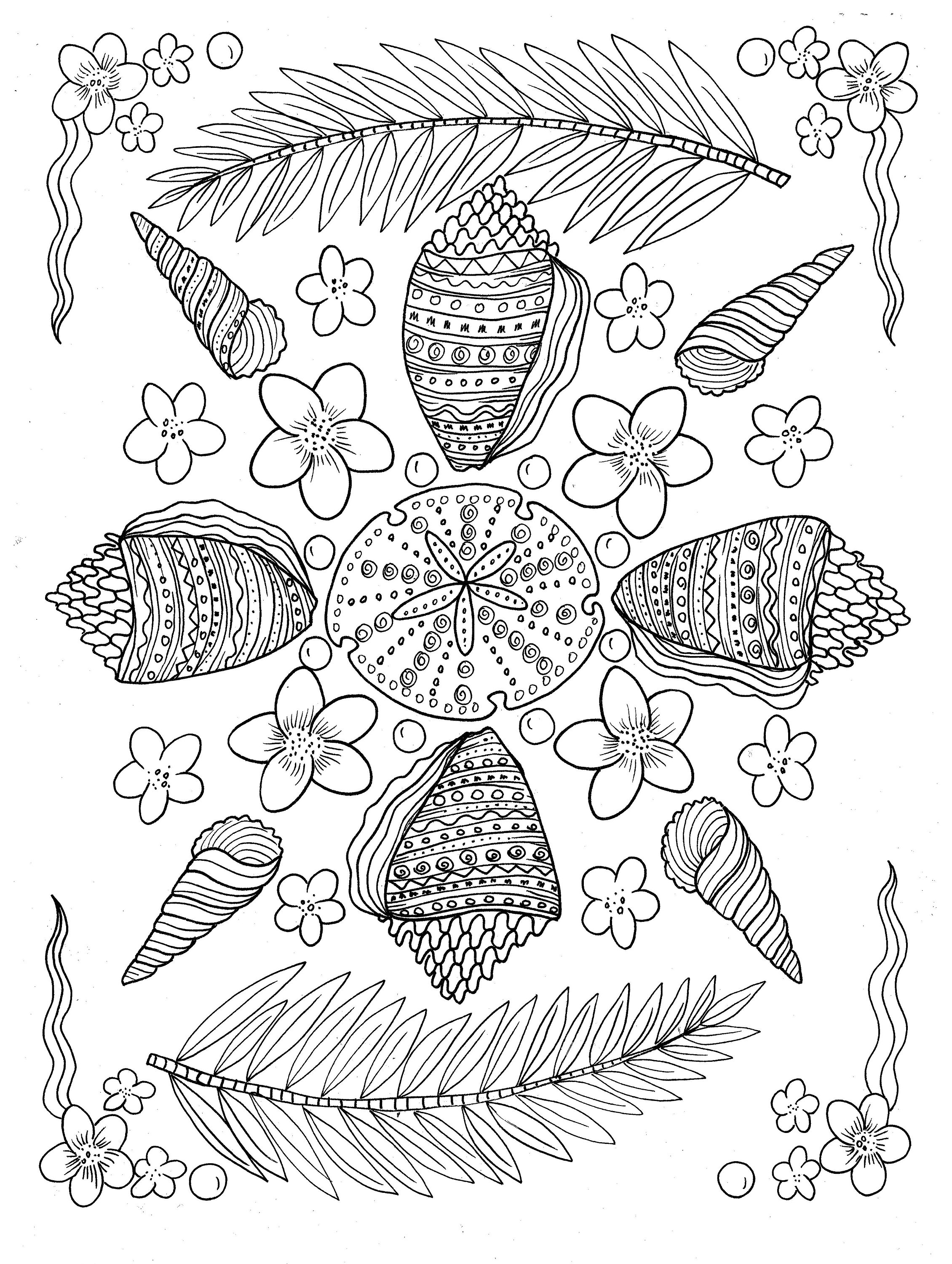 Shells Digital Coloring Book, Adult Coloring Fun. Summer Fun With ...