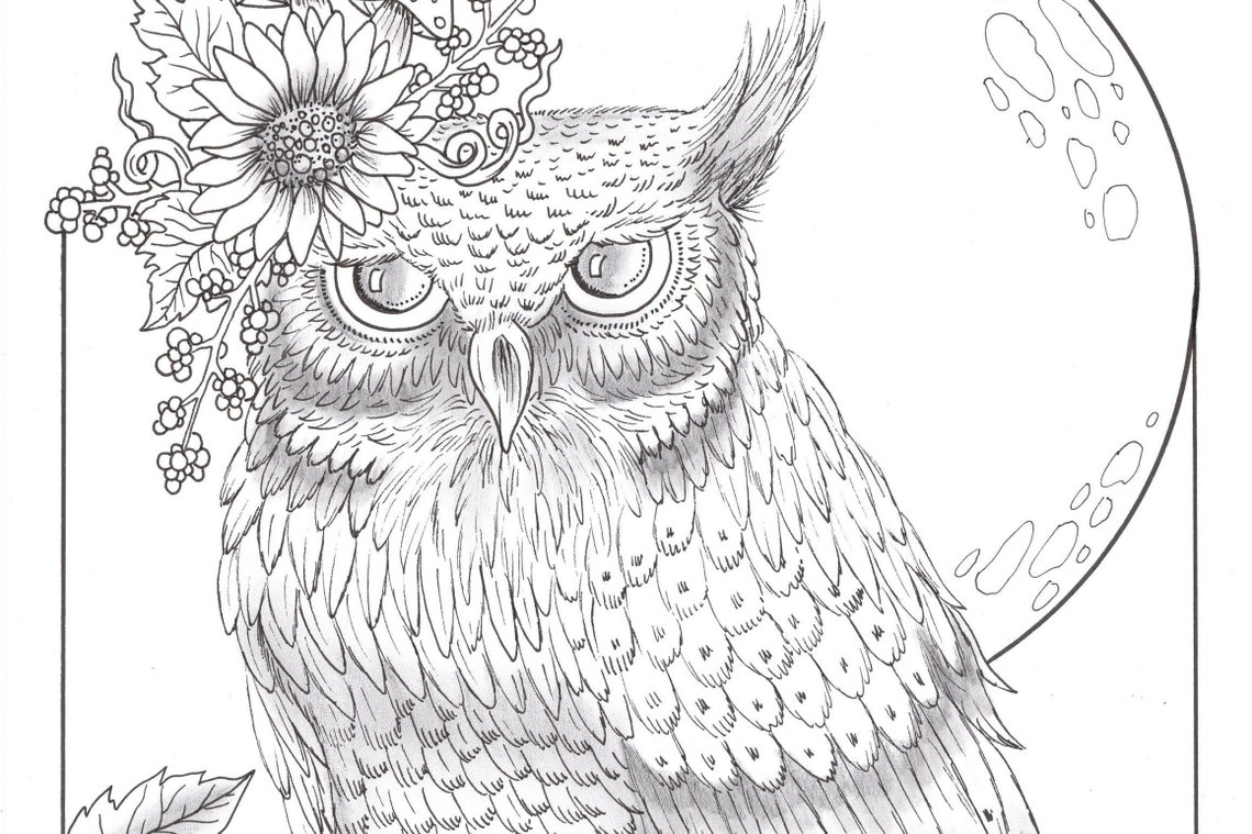 FALL Owl PDF to Color. Digital Coloring Page for Fall - Etsy