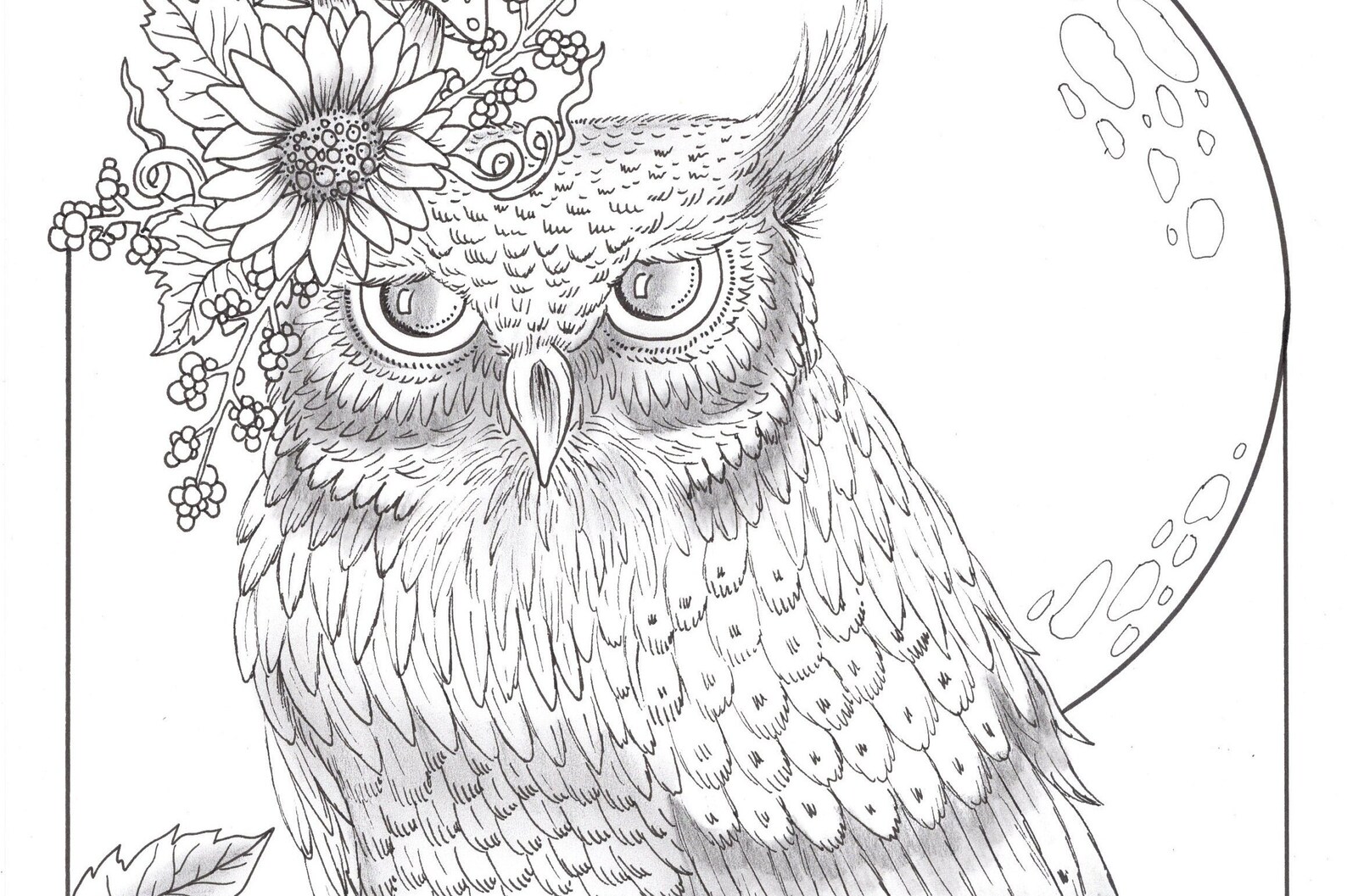 FALL Owl PDF to Color. Digital Coloring Page for Fall - Etsy