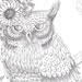 FALL Owl PDF to Color. Digital Coloring Page for Fall Coloring. Print ...