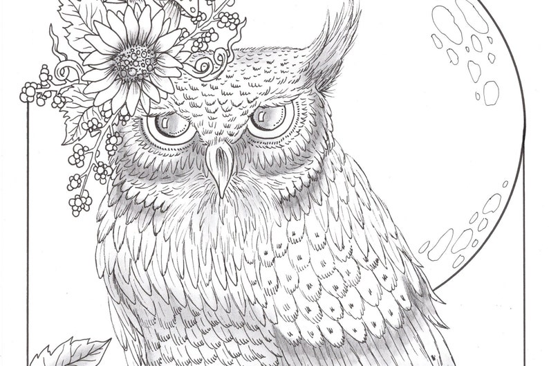 FALL Owl PDF to Color. Digital Coloring Page for Fall - Etsy