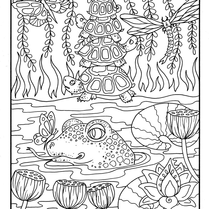 A MIDSUMMER DREAM Instant Download Coloring Book. 32 Pages of Fantasy ...